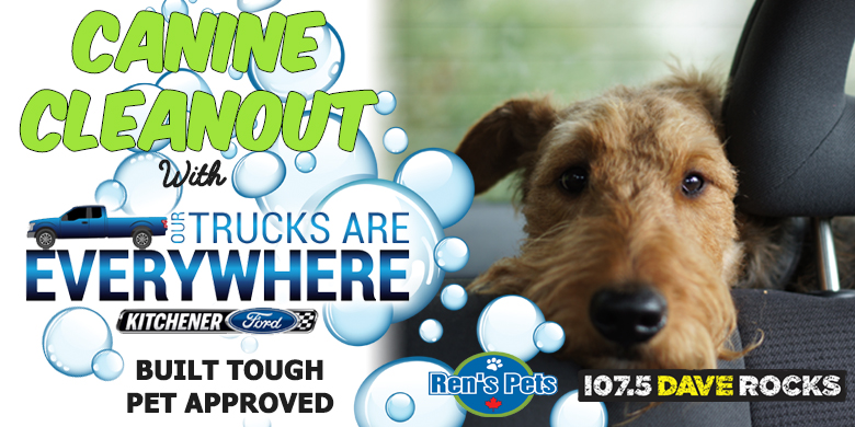 Canine Cleanout with Kitchener Ford | 107.5 Dave Rocks